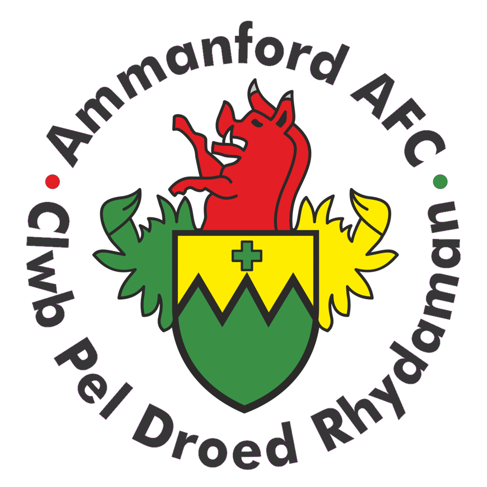 Ammanford AFC Youth - AMMANFORD AFC